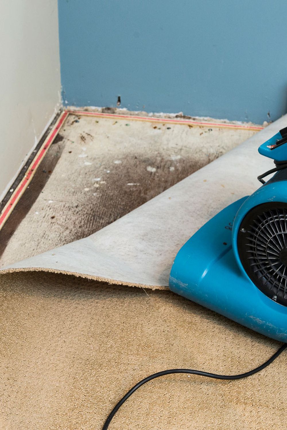 Effective Methods to Permanently Remove Mildew Smells