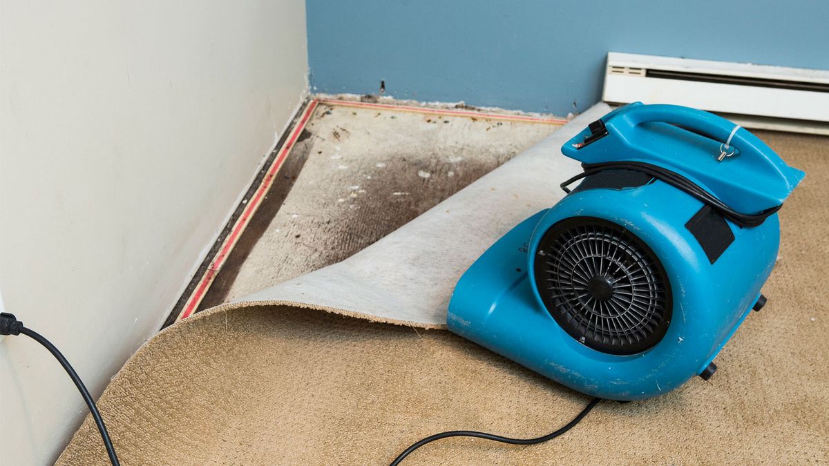 Effective Methods to Permanently Remove Mildew Smells