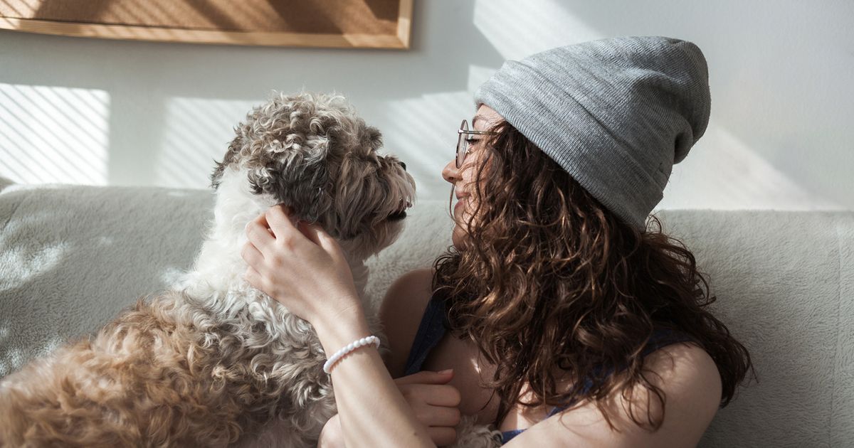 The Best Pets for Stress Relief