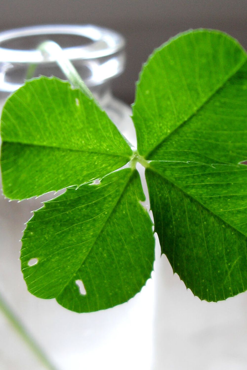 Downloadable Shamrock Patterns for Perfect St. Patrick's Day Crafts