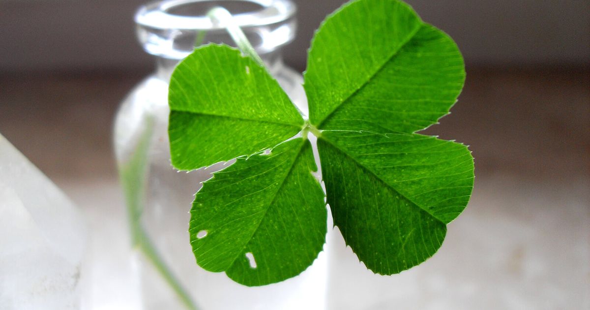 Downloadable Shamrock Patterns for Perfect St. Patrick's Day Crafts