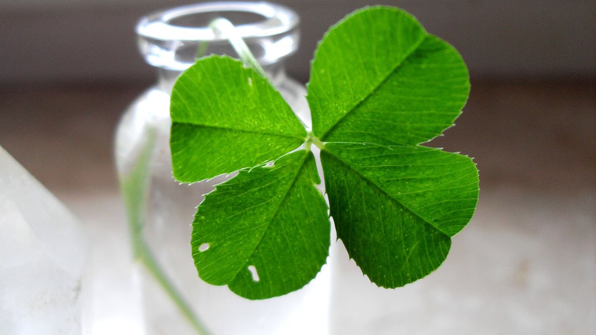 Downloadable Shamrock Patterns for Perfect St. Patrick's Day Crafts