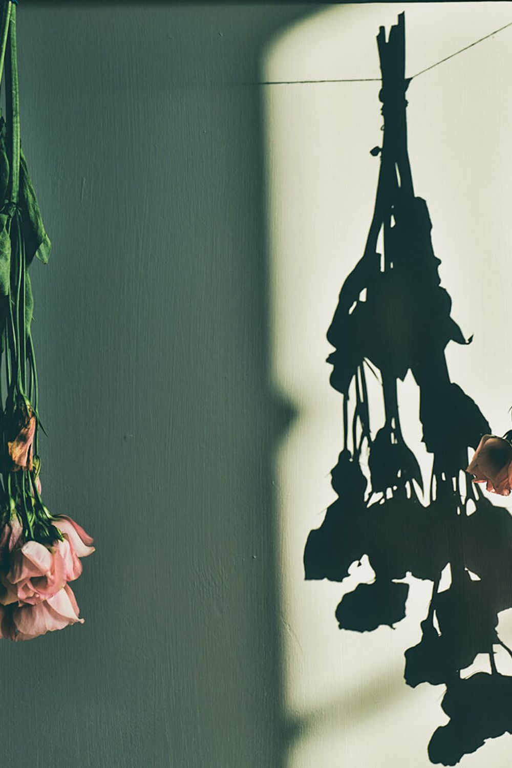 10 Flowers That Represent Love to Give to Someone You Adore