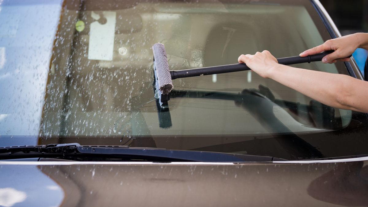 How to Clean Bugs Off Your Car & Windshield: 5 Easy Methods