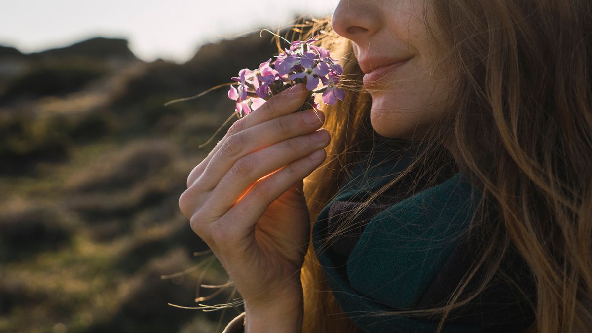 Your Favorite Flower Might Say a Lot About Your Personality