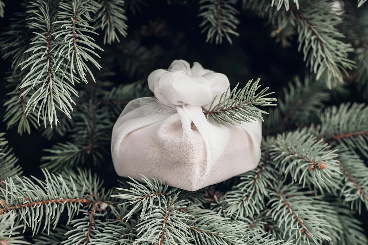 10 Unexpected Things I Upcycle for Holiday Gift Wrap
